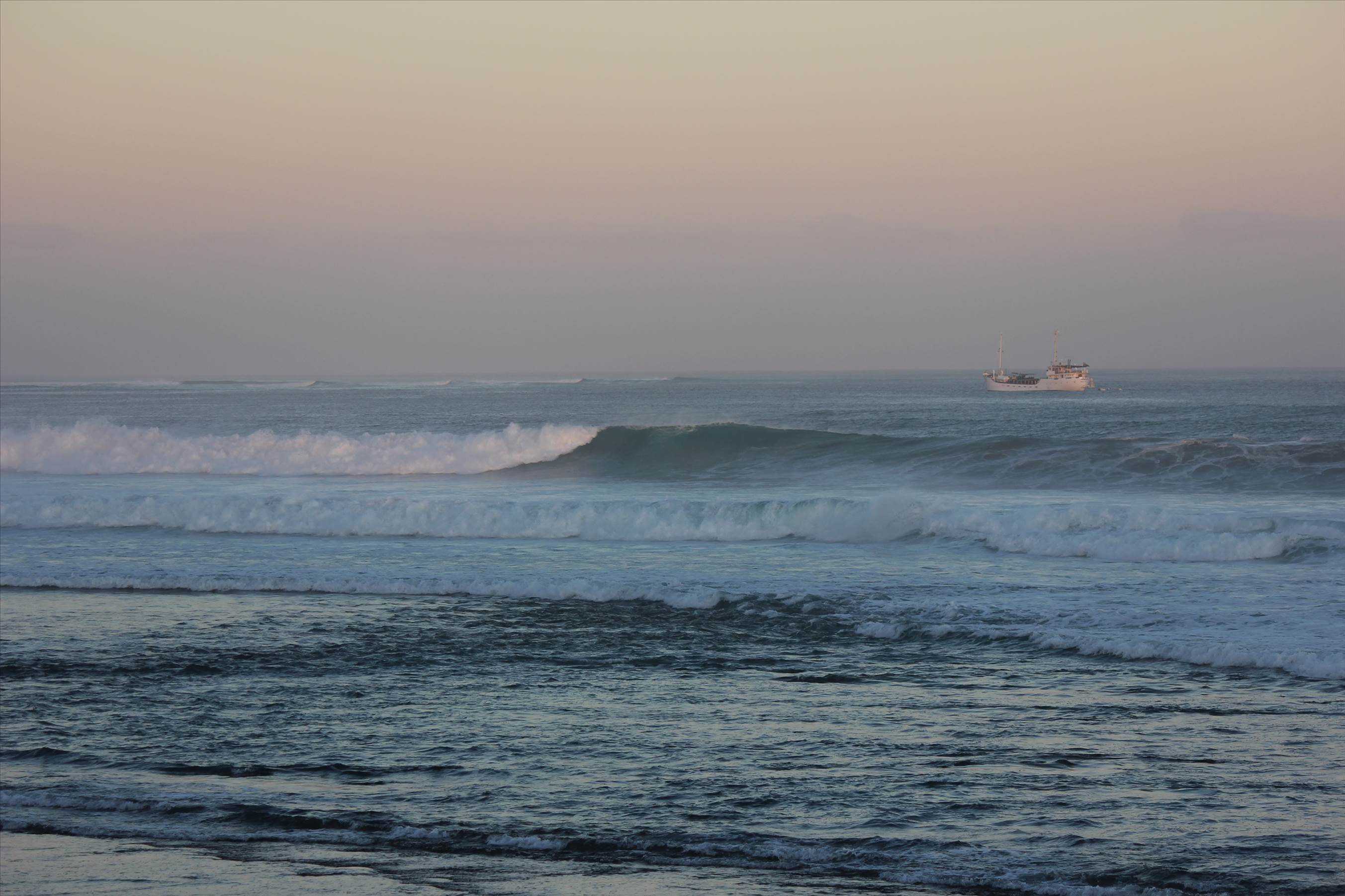 Surfing Exmouth 2013 142