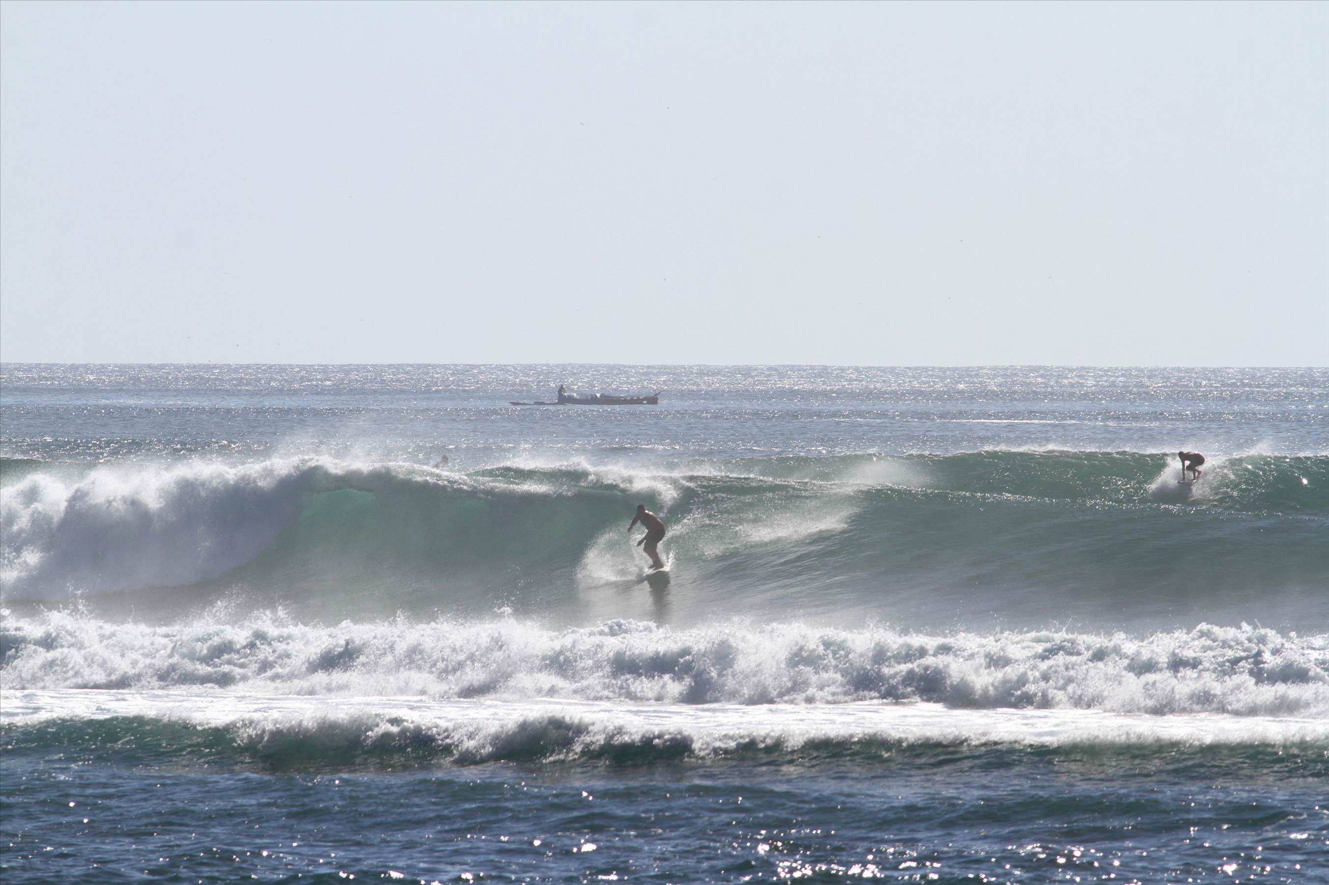 Surfing